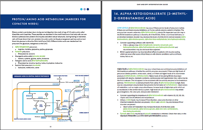 Organic Acids Interpretive Guide Launch